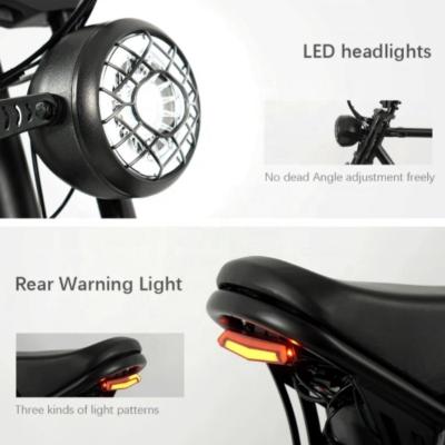 China 20 polegadas de pneu gordo bicicleta elétrica 750 Watt Superb 73 Quente Alumínio estrutura de liga 48V 17Ah à venda