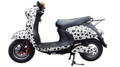 Cina TDX20Z 60V 2000w scooter elettrico con 3,5-10 dimensioni del pneumatico e freno a tamburo posteriore del disco anteriore in vendita