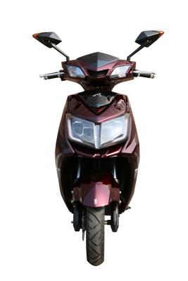 Cina Promozione commerciale 2019 Blue Electric Scooter per adulti F Disc/R Drum Brake in vendita