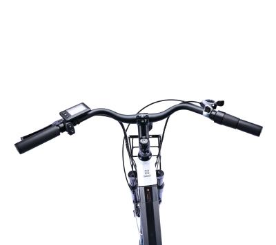 Cina Le signore passano attraverso la bici elettrica 36V 11Ah 7 velocità 26 