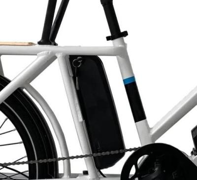 Cina 20 pollici ruota disco freno Cargo E Bike 48V 500W Con 14,5Ah 21Ah 24,5Ah batteria al litio in vendita