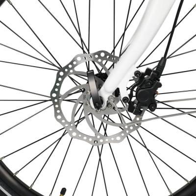 Cina 20 pollici ruota disco freno Cargo E Bike 48V 500W Con 14,5Ah 21Ah 24,5Ah batteria al litio in vendita