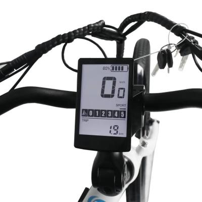Cina 20 pollici ruota disco freno Cargo E Bike 48V 500W Con 14,5Ah 21Ah 24,5Ah batteria al litio in vendita