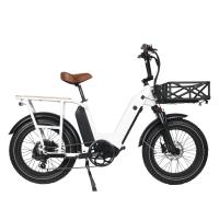 Quality Aluminum Alloy Electric Cargo Bike 48V 750W Ebike With Front Suspension Dual for sale