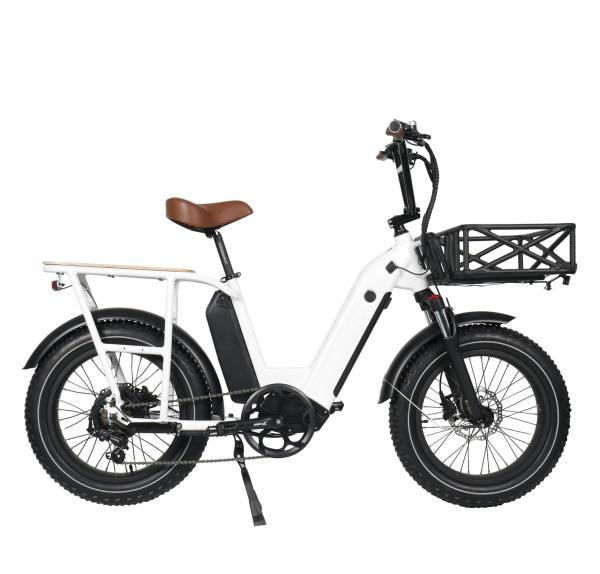 Quality Aluminum Alloy Electric Cargo Bike 48V 750W Ebike With Front Suspension Dual Battery for sale