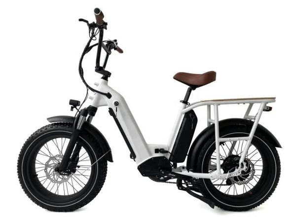 Quality Aluminum Alloy Electric Cargo Bike 48V 750W Ebike With Front Suspension Dual for sale