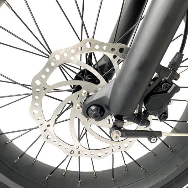 Quality Aluminum Alloy Electric Cargo Bike 48V 750W Ebike With Front Suspension Dual for sale