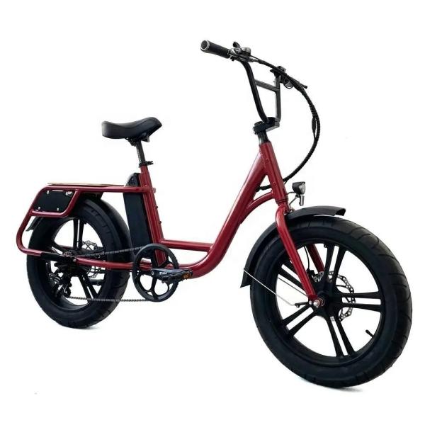 Quality Rear Hub Motor Electric Cargo Bike 24 Inch Fat Tire Cargo Ebike 7 Speed 48V 500W for sale