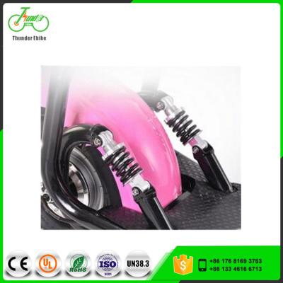 Cina Citycoco Easy Rider scooter elettrico 48V 500W con design piccolo ed elegante in vendita