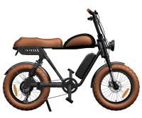 Quality 20 Inch Fat Tire 73 Style Ebike 7 Speed Electric Mountain Bike 48V 500W 750W for sale