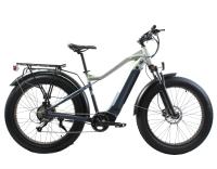 Quality 9 Speed Electric Bike 26"*4.0 Fat Tire Ebike Electric Mountain Bike 48V 750W for sale