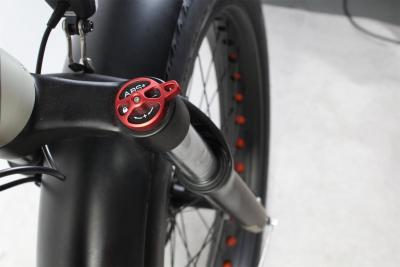 중국 9 Speed Electric Bike 26