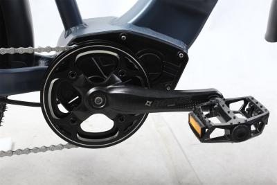 중국 9 Speed Electric Bike 26