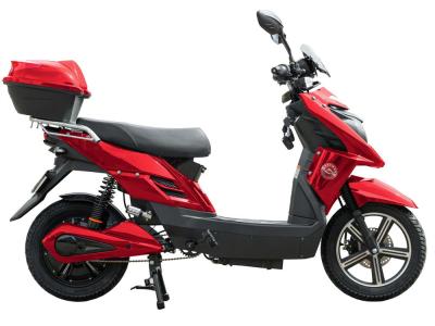 Cina New Arrival Electric Motorbike 48V 500W Strong Power 800W Pedal Assist Electric Bike Motorcycles in vendita
