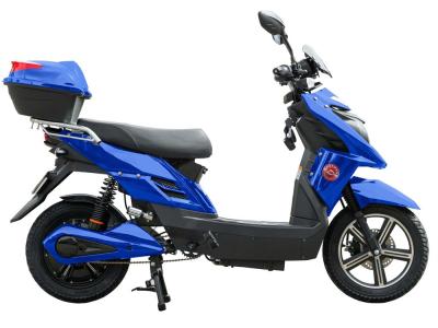 Cina New Arrival Electric Motorbike 48V 500W Strong Power 800W Pedal Assist Electric Bike Motorcycles in vendita