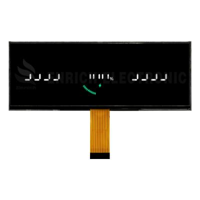 China Segment LCD Display Digital Screen VA LCD Module Monochrome Display LCD for sale