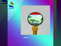 0.99 Inch TFT LCD