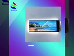 3.13 ιντσών TFT LCD Μοντέλο 376x960 Ανάλυση MIPI IPS IC GC9503