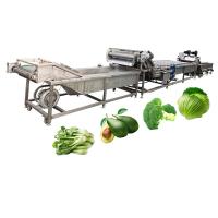 Quality Bubble Peeling Brush Vegetable Washing Machine 300-500kg/H For Carrot Cassava for sale