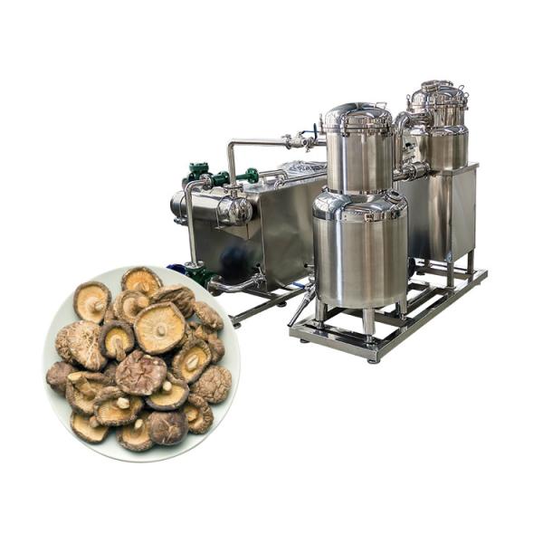Quality Stainless Steel Vacuum Fryer Machine For 380V Voltage 6L Fry Snacks Low Oil for sale