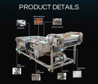 China Customized SUS 304 Material Bubble Cleaning Drying Machine for Fruits and Vegetables for sale