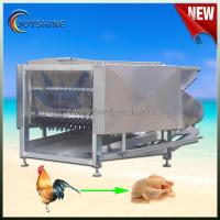 China Poultry Scalding Machine for Automatic Chicken Slaughtering Equipment and Process for sale