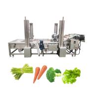 China Versatile Automatic Vegetable and Fruit Bubble Cleaning Machine with Custom Options for sale