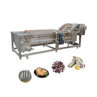 China Versatile Automatic Vegetable and Fruit Bubble Cleaning Machine with Custom Options for sale