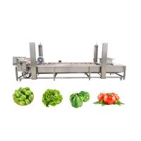 China Versatile Automatic Vegetable and Fruit Bubble Cleaning Machine with Custom Options for sale