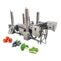 China Versatile Automatic Vegetable and Fruit Bubble Cleaning Machine with Custom Options for sale