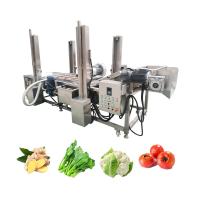 China Versatile Automatic Vegetable and Fruit Bubble Cleaning Machine with Custom Options for sale
