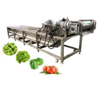 China 25kw Fully Automatic Multifunctional Ultrasonic Vegetable Bubble Washing Machine for sale
