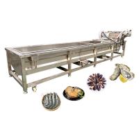China 25kw Fully Automatic Multifunctional Ultrasonic Vegetable Bubble Washing Machine for sale