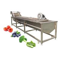 China 25kw Fully Automatic Multifunctional Ultrasonic Vegetable Bubble Washing Machine for sale