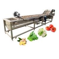 China 25kw Fully Automatic Multifunctional Ultrasonic Vegetable Bubble Washing Machine for sale