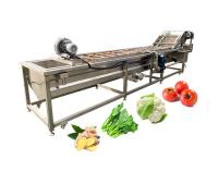 China Joyshine Avocado Cleaning And Grading Machine Automatic Root Vegetable Walnut Washing for sale