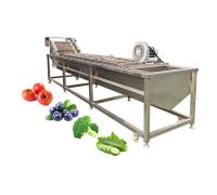 China Joyshine Avocado Cleaning And Grading Machine Automatic Root Vegetable Walnut Washing for sale