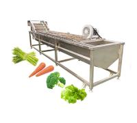 China Joyshine Avocado Cleaning And Grading Machine Automatic Root Vegetable Walnut Washing for sale