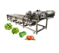 China Joyshine Avocado Cleaning And Grading Machine Automatic Root Vegetable Walnut Washing for sale