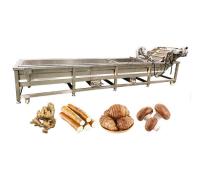 China Joyshine Avocado Cleaning And Grading Machine Automatic Root Vegetable Walnut Washing for sale