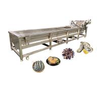 China Joyshine Avocado Cleaning And Grading Machine Automatic Root Vegetable Walnut Washing for sale