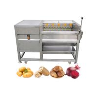 China Manually Discharging Vegetable Peeling Machine For Carrots Root Vegetables for sale