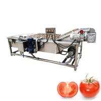 China Custom Automatic Fruit Industrial Vegetable Washer For Fruit Processing Plant for sale