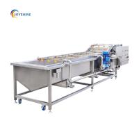 China Custom Automatic Fruit Industrial Vegetable Washer For Fruit Processing Plant for sale