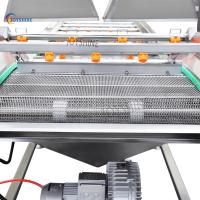 China Custom Automatic Fruit Industrial Vegetable Washer For Fruit Processing Plant for sale