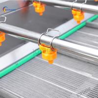 China Custom Automatic Fruit Industrial Vegetable Washer For Fruit Processing Plant for sale