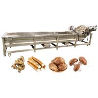 China Automatic Fruits Vegetable Processing Line Industrial Air Bubble Wash Machine for sale