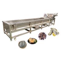 China Automatic Fruits Vegetable Processing Line Industrial Air Bubble Wash Machine for sale