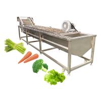 China Automatic Fruits Vegetable Processing Line Industrial Air Bubble Wash Machine for sale