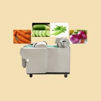 China Potato Grater Machine Vegetable Cutter Machine Joyshine Cutting shape Cube Slice Strip for sale